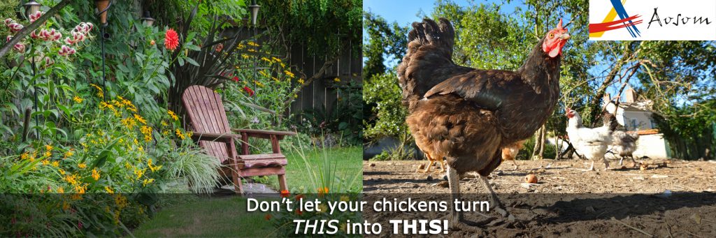 How to Design a Chicken Garden: Sample Free-Range Garden Plans - Aosom