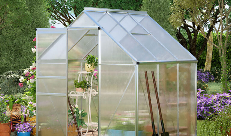 Greenhouse Dreams: Elevating Your Space with Stylish Cultivation - Aosom